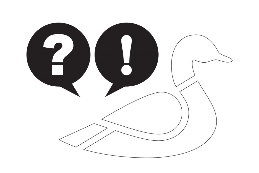 Duck: Facts vs. fiction - Canards du Lac Brome